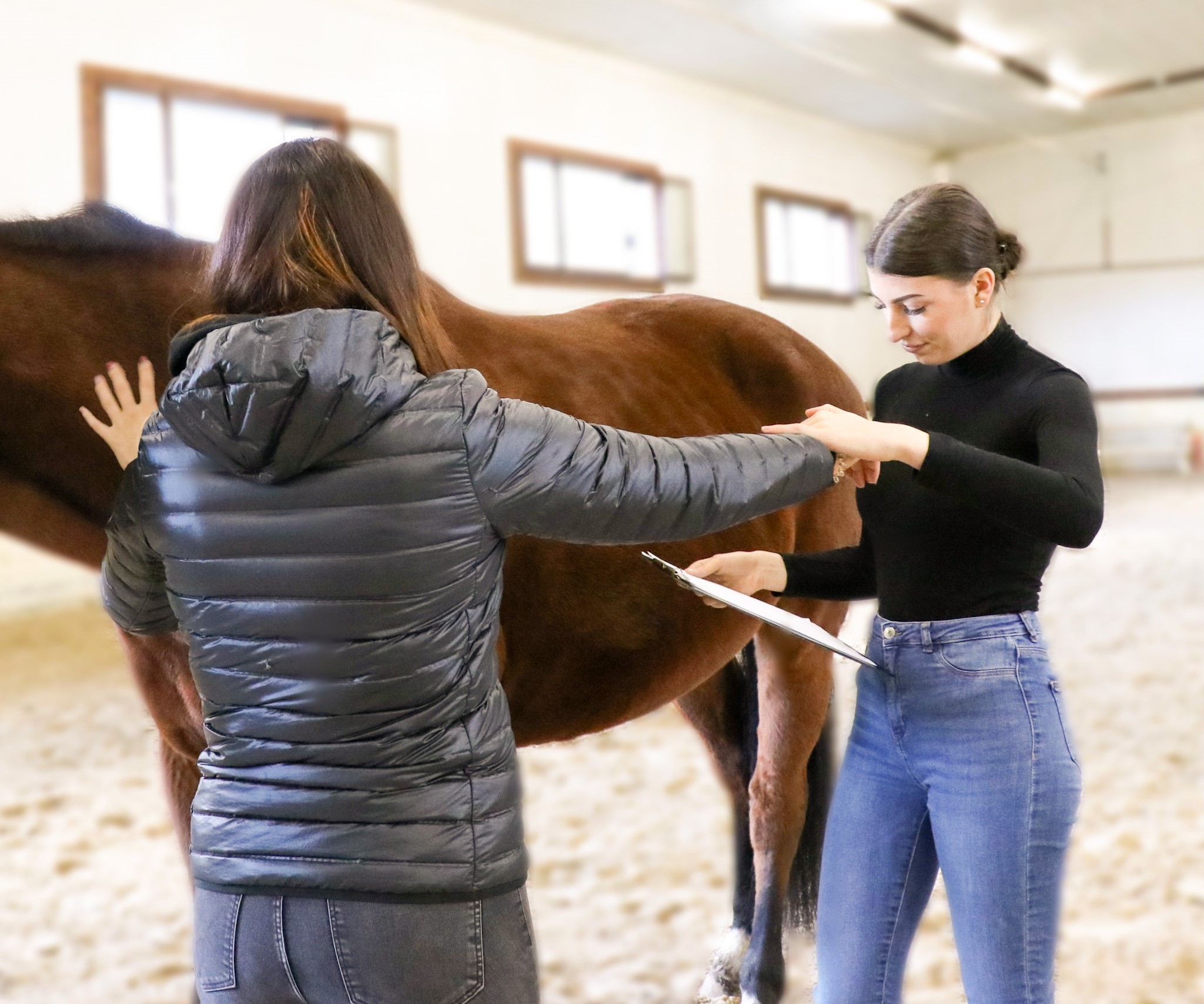 Kinésiologie Animale - Harmonie Animale